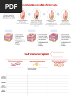 Infografías Tétrada-Hematoma | PDF | Sangre | Inflamación