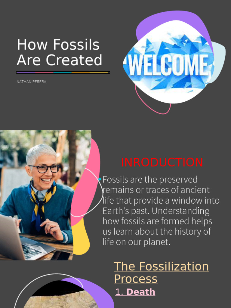 How Fossils Are Created | PDF | Fossil | Earth Sciences