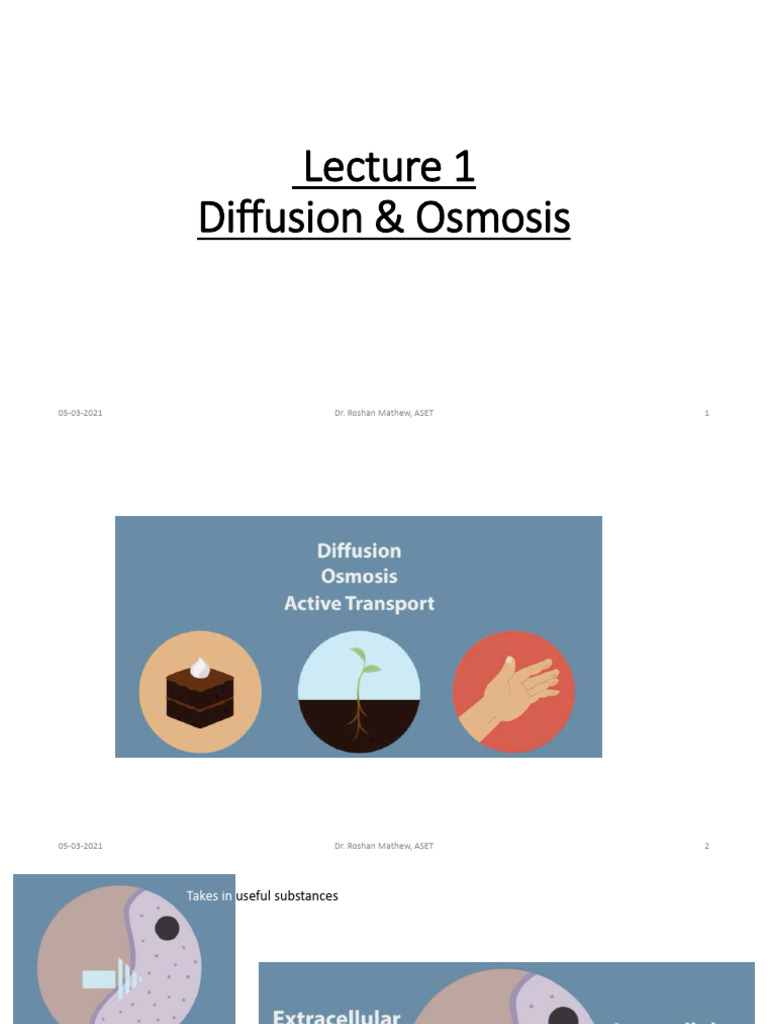 Lecture - 1B Diffusion and Osmosis | PDF | Osmosis | Cell (Biology)