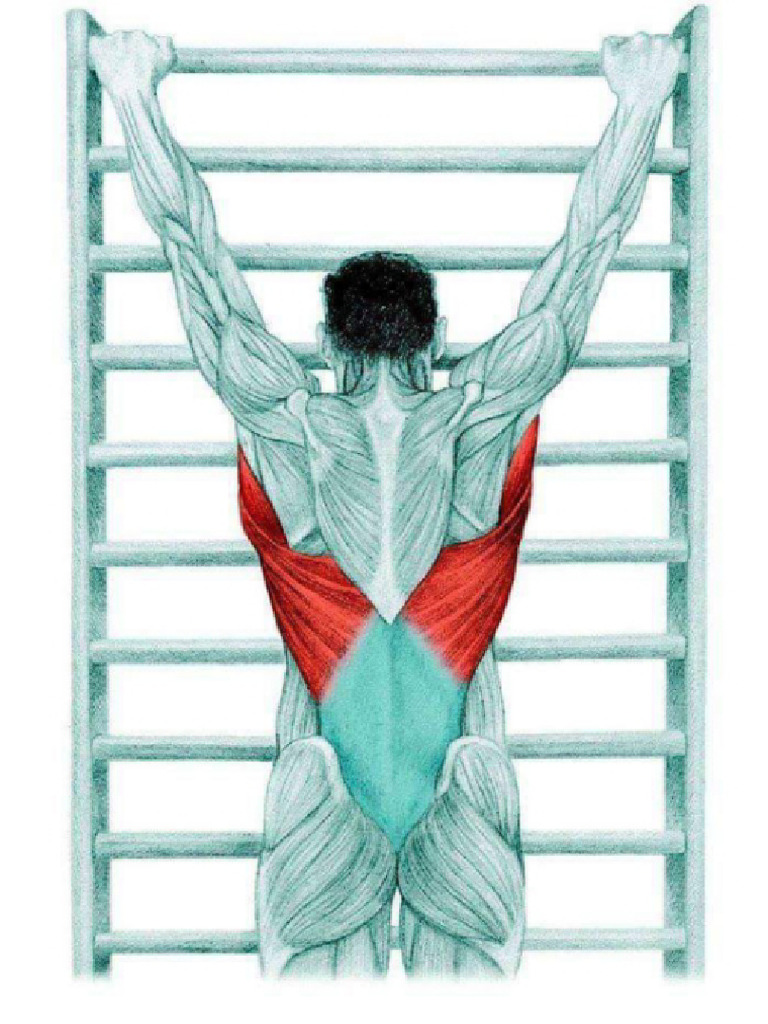 Self Stretching Exercises | PDF