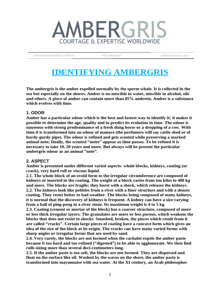 Identifying Ambergris: Key Characteristics | PDF | Amber | Odor