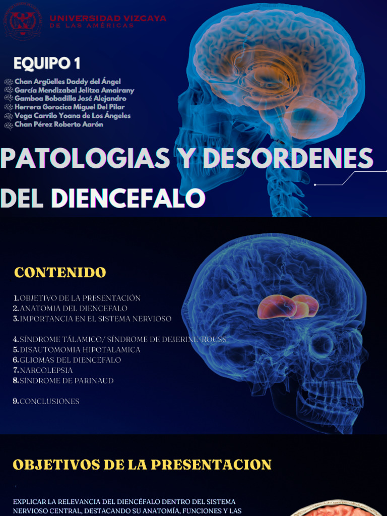The Nervous Systems Education Presentation Blue Animated Style PDF ...