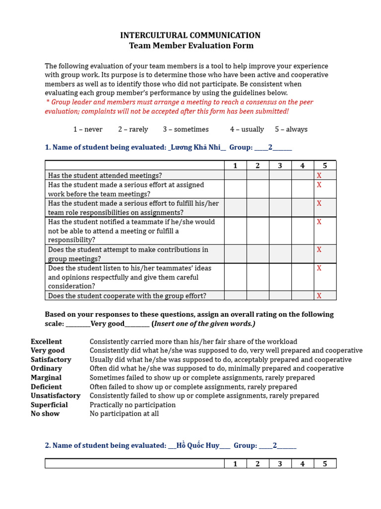 Team Member Evaluation Form Guide | PDF