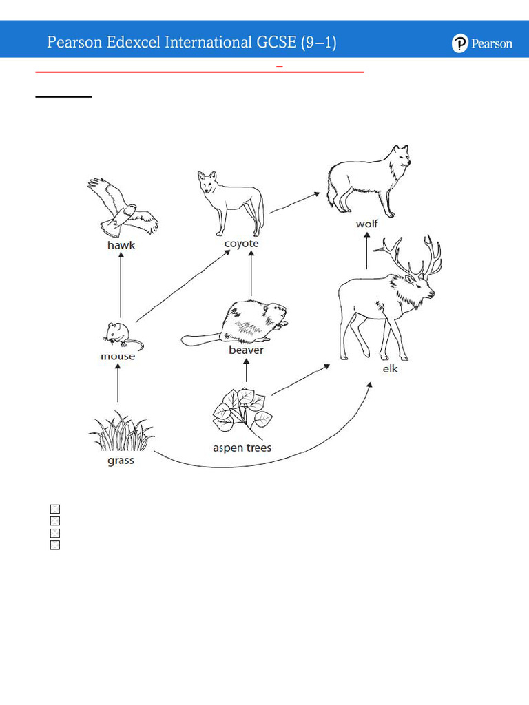 Ecology and Food Web Analysis | PDF | Food Web | Biomass (Ecology)