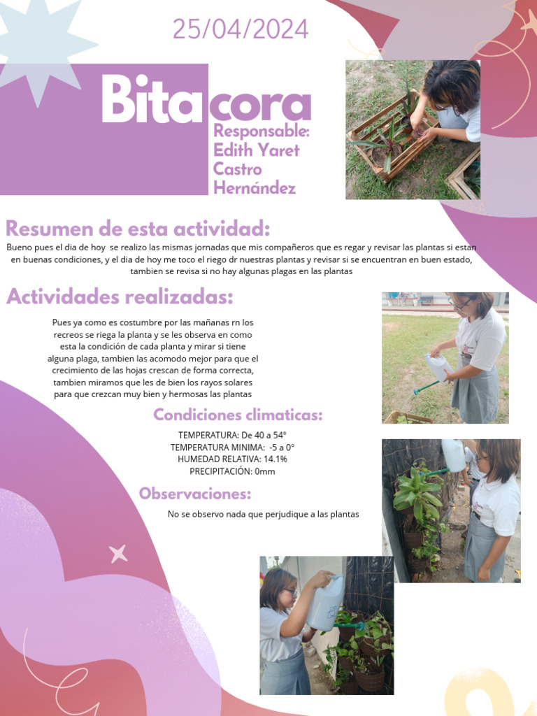 Bitacora 20240427 160955 0000 | PDF
