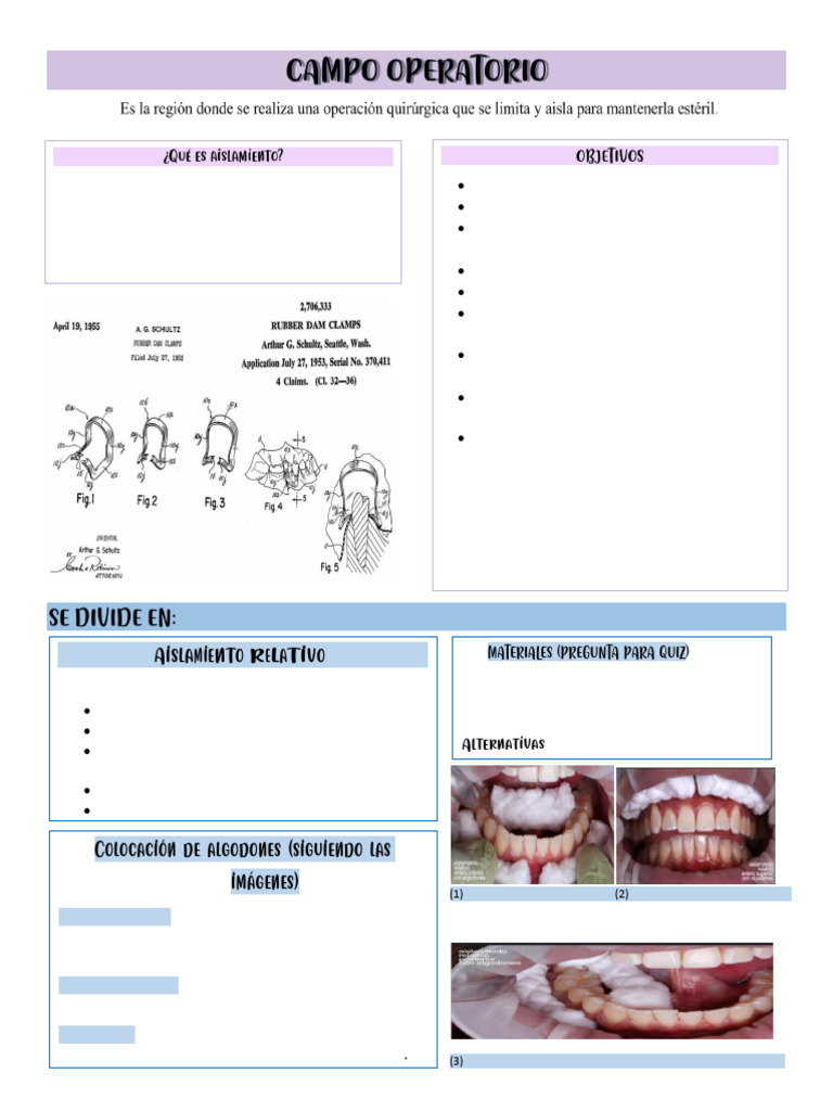 2 Campo Operatorio | PDF | Diente | Anatomia dental