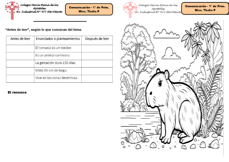 Guía sobre el Ronsoco para Primaria | PDF