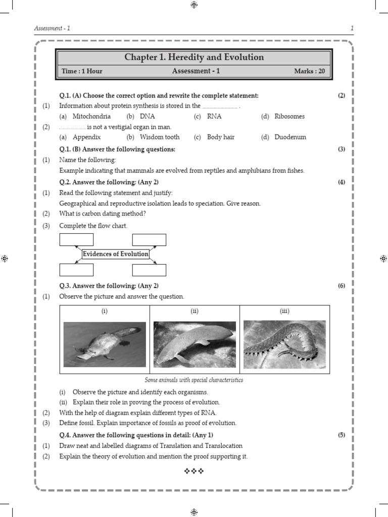 Chapter - 1 - Heredity and Evolution - Assessment - 1 | PDF