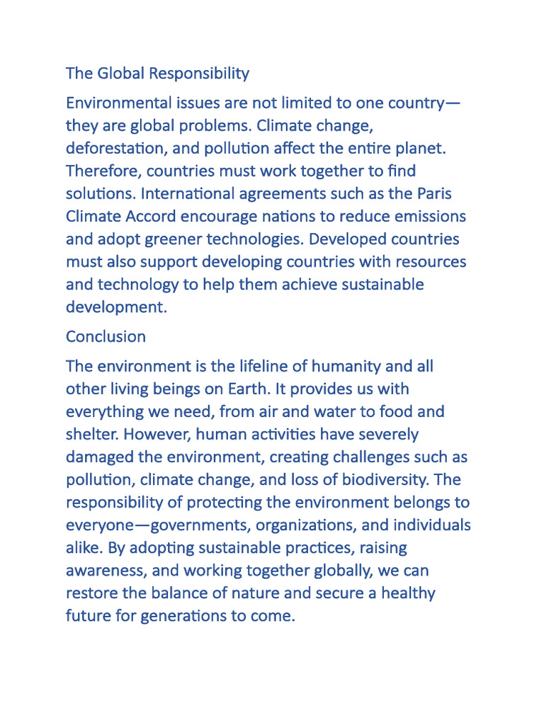 Global Environmental Responsibility | PDF