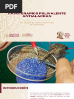 Guía sobre Alacranismo y su Tratamiento | PDF | Especialidades Medicas