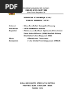 TOR Pendampingan ILP 2025 | PDF