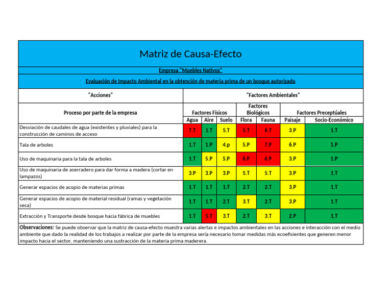 Matriz de Causa-Efecto | PDF
