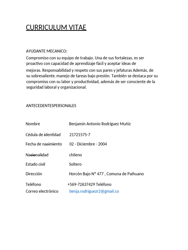Curriculum Vitae Benjamin Actualizado | PDF