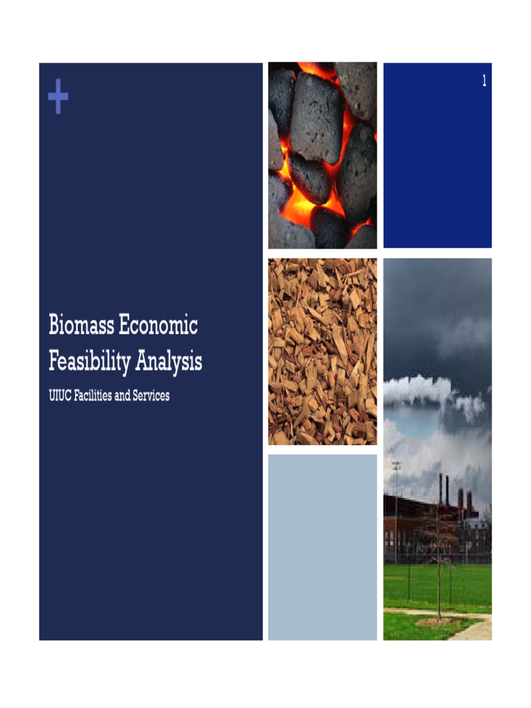 UIUC Biomass Feasibility Study | PDF | Coal | Tax Credit