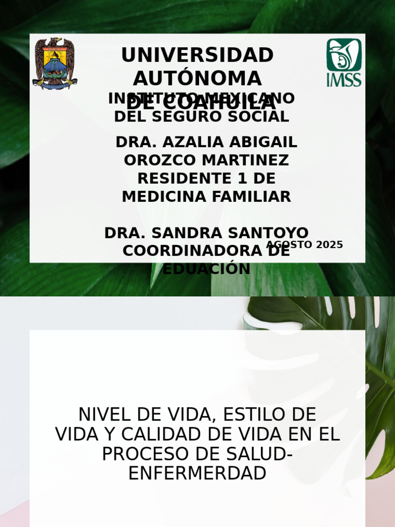 Calidad de Vida Junto Con Las Diferencias de Nivel de Vida y Modo de ...