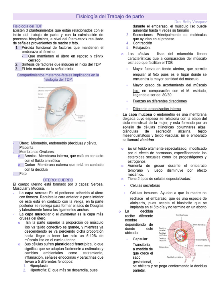 Fisiología Del Trabajo de Parto | PDF | Contracción muscular | Placenta