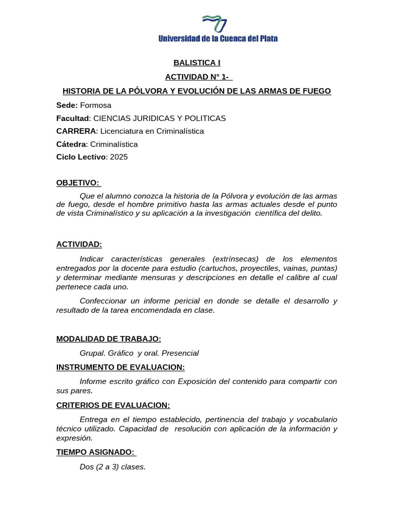 Actividad #1 - 2025 - (2C) | PDF