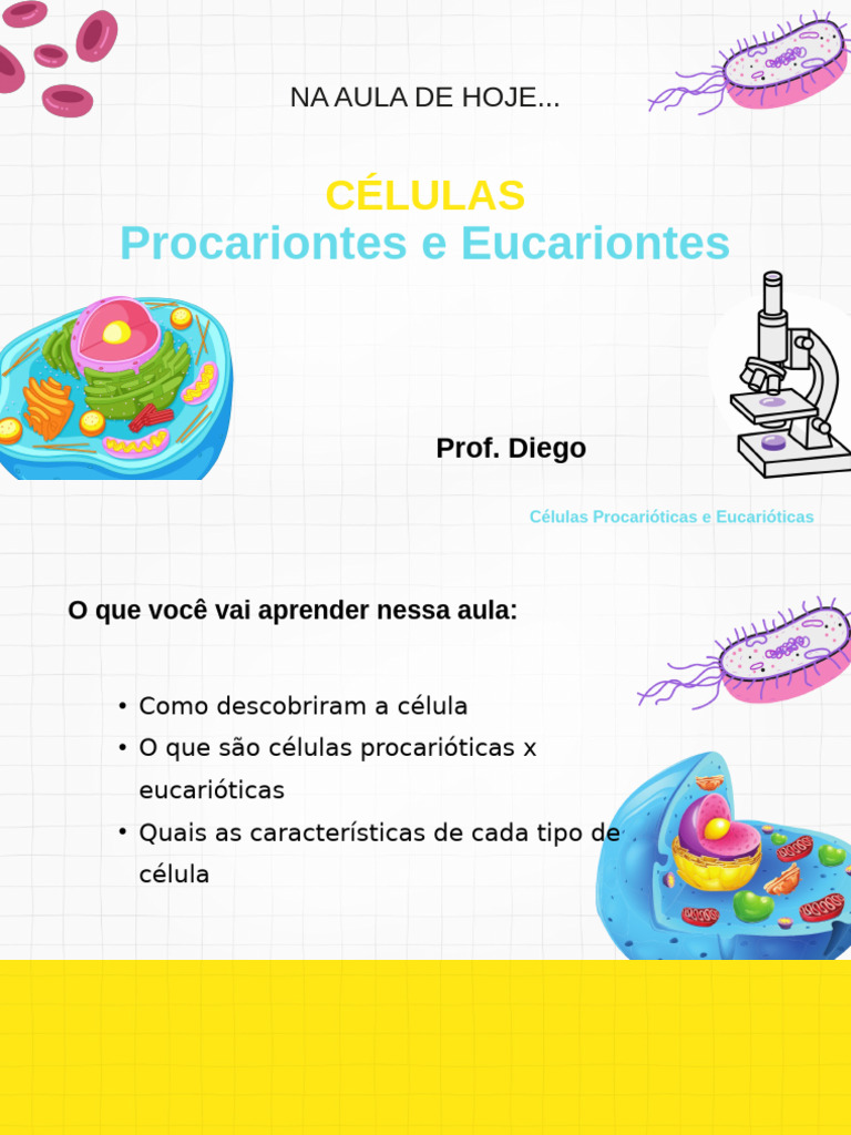 Células Procariontes e Eucariontes | PDF | Célula (Biologia) | Organelo