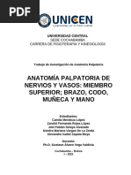 Metodo RaPeVA GAVeCeLT | PDF | Sistema cardiovascular | Sistema ...