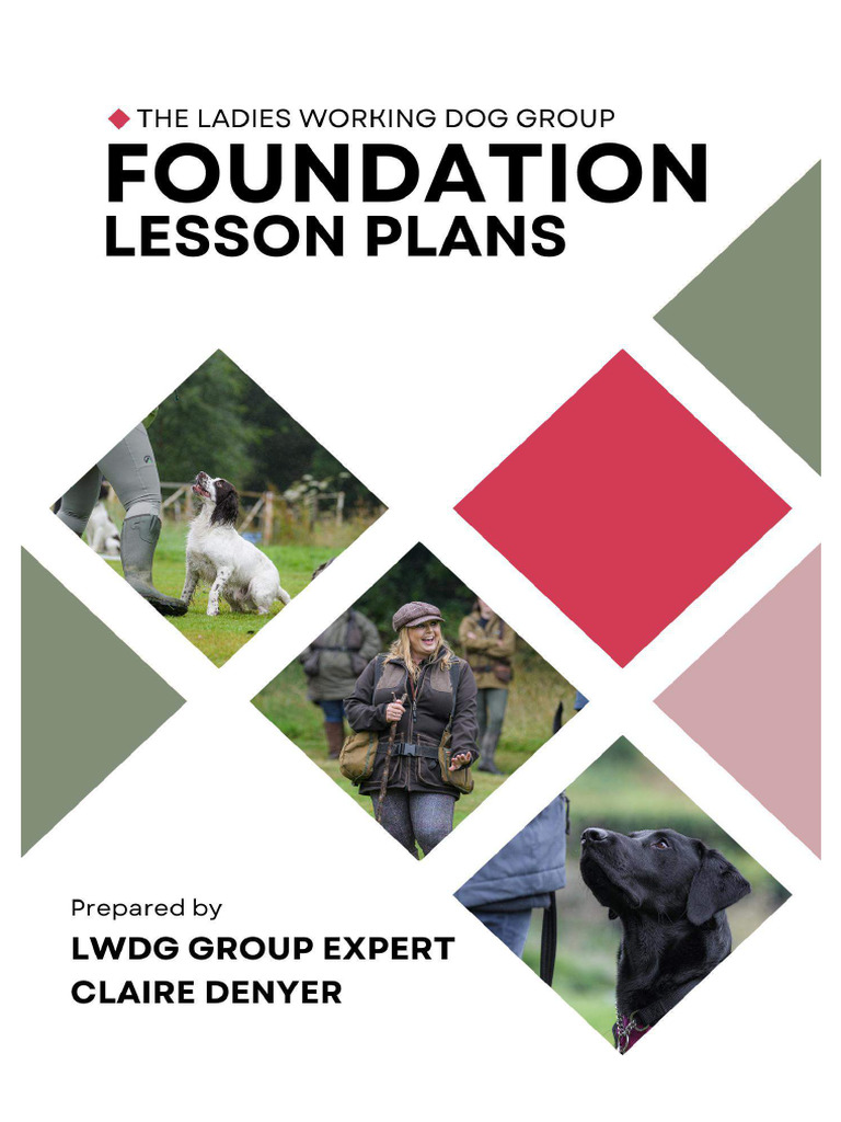 Beginner Gundog Training Essentials | PDF | Memory | Dogs