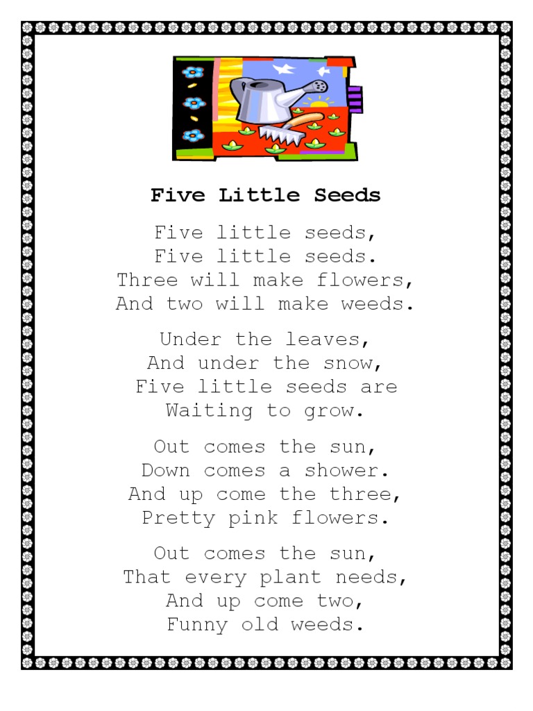 Homework - Five Little Seeds | PDF | Flowers | Plants