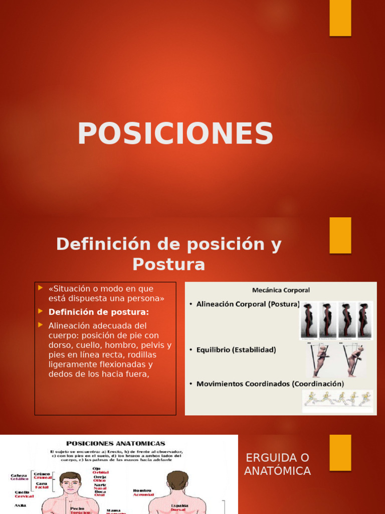 Postura Ginecológica y Movilización | PDF | Músculo | Términos ...