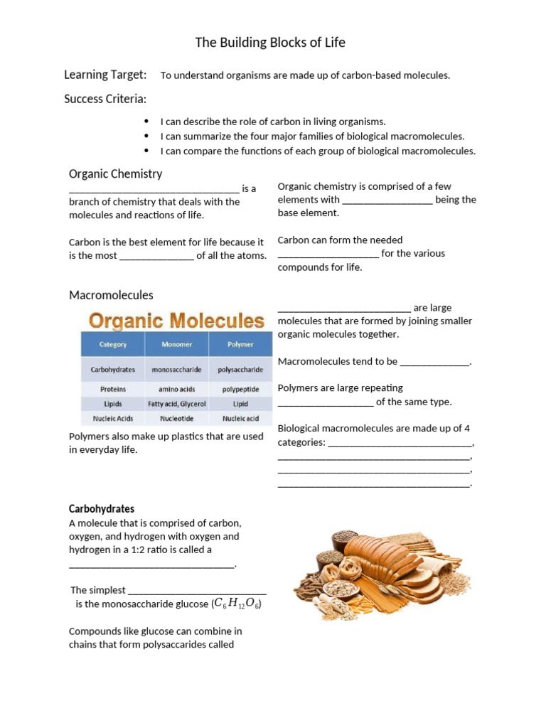 Building Blocks of Biological Macromolecules | PDF | Lipid | Macromolecules