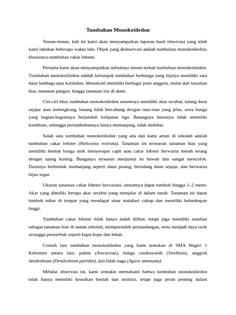 Cakar Lobster: Tumbuhan Monokotiledon Unik | PDF