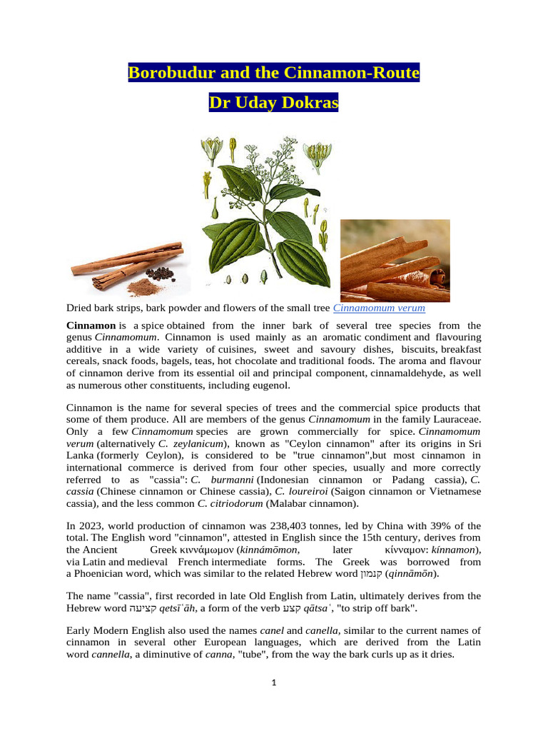 Borobudur and The Cinnamon Route | PDF | Cinnamon | Vajrayana