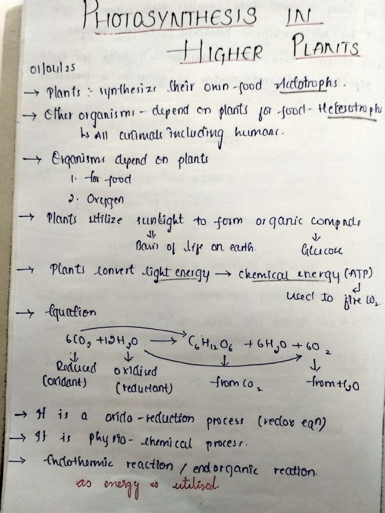 Notes (Photosynthesis in Higher Plants) | PDF