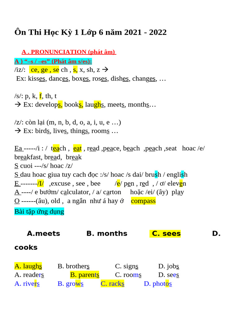 De Cuong Ly Thuyet Hk 1 | PDF