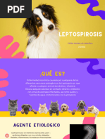 Anatomía del húmero en perros | PDF | Codo | Sistema esquelético