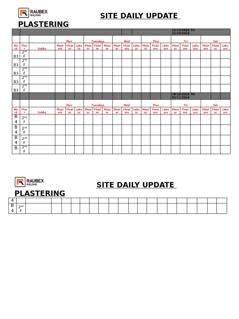 Site Daily Updates Plaster | PDF