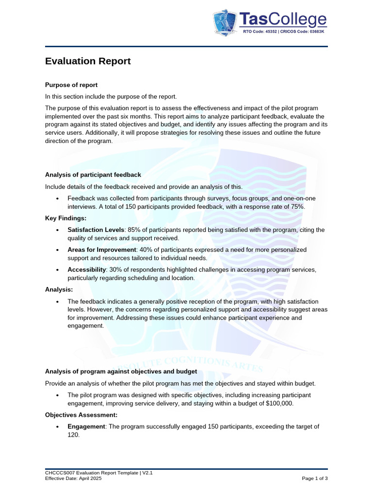 Pilot Program Evaluation Report | PDF | Evaluation | Accessibility