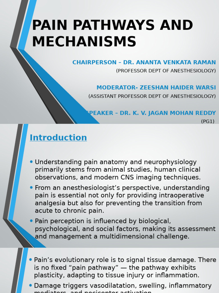 Pain Pathways and Mechanisms Overview | PDF | Pain | Axon