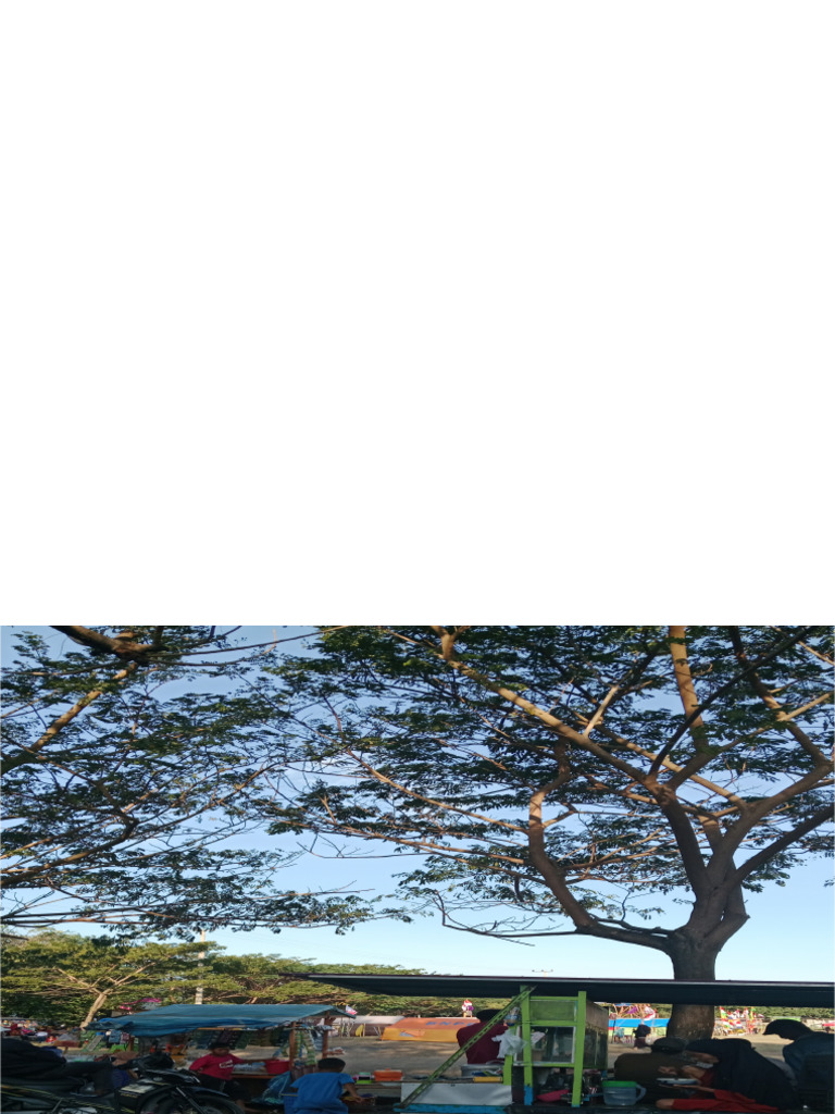 Presentasi-WPS Office 2 | PDF