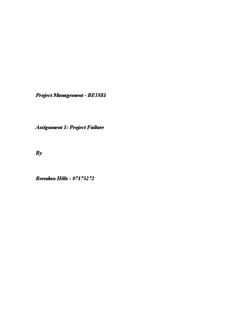 Project Management Assignment | PDF | Project Management | Risk Management