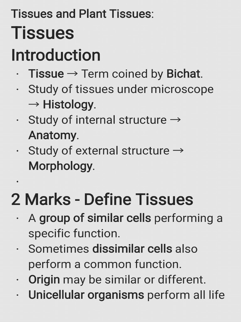 Class 9 Biology Notes Tissues Chapter - 250802 - 202334 | PDF