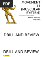 Technogym Universe: Modular Strength Training | PDF | Weight Training ...