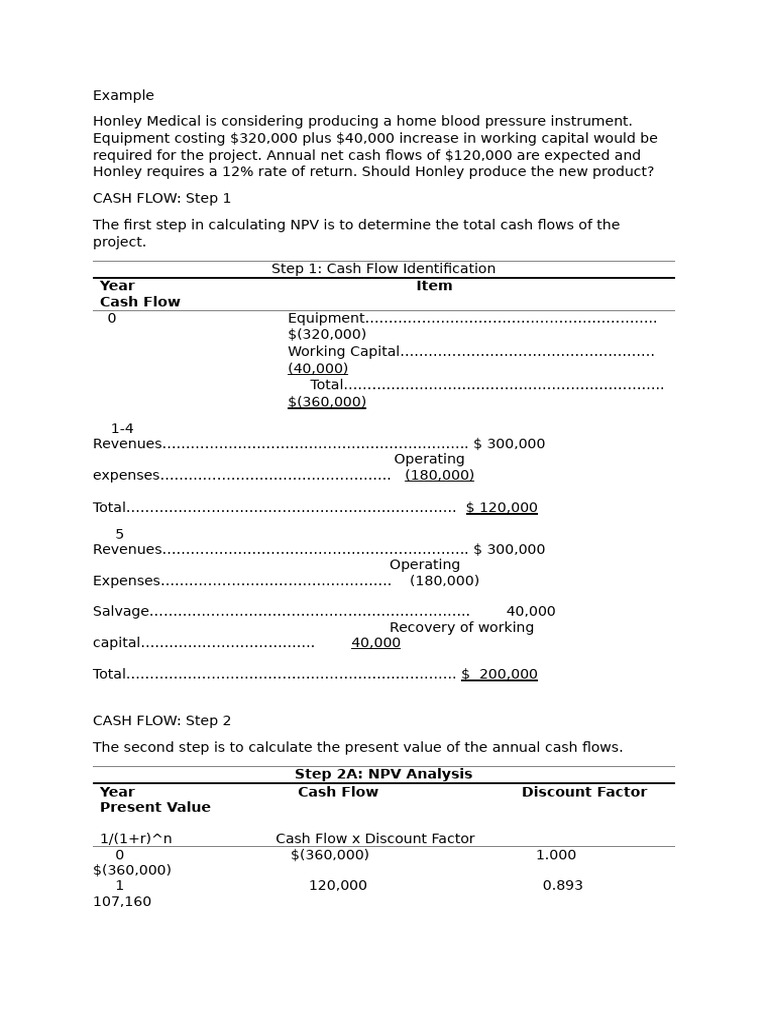Example Ni NPV | PDF | Net Present Value | Investing