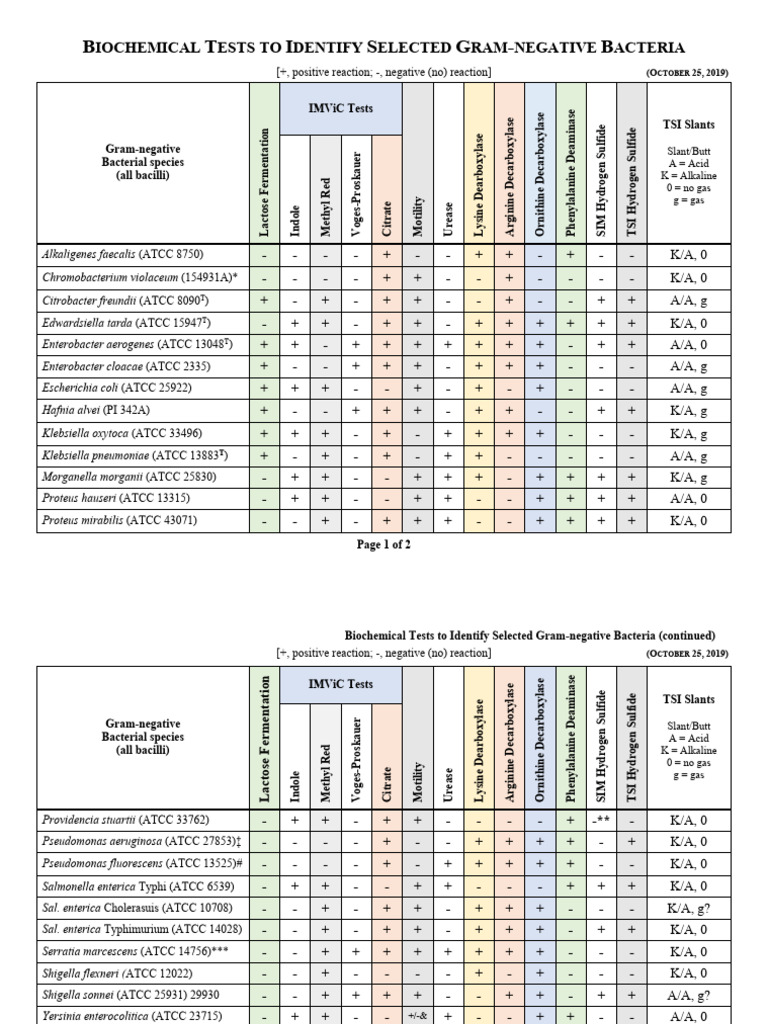 Gram-Negative Bacilli Identification Chart | PDF | Gram Negative ...