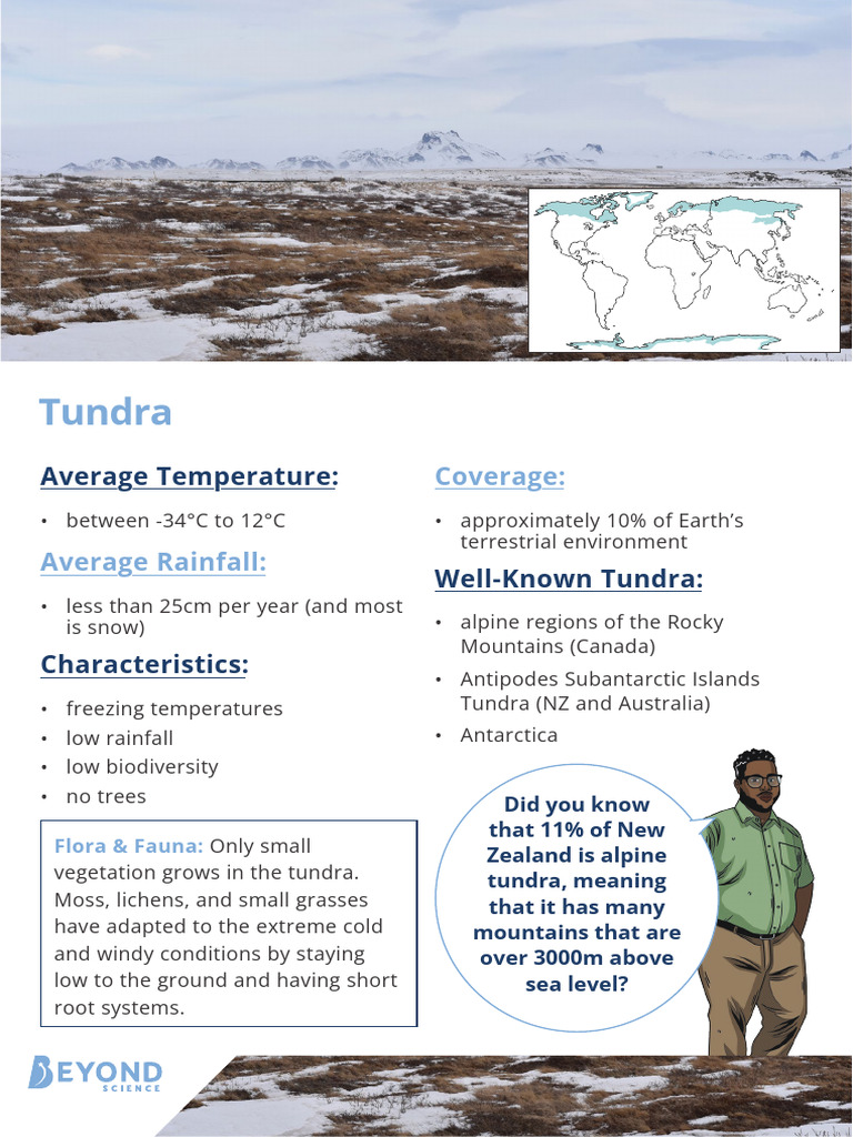 Biomes Speed Dating Information Sheet-2 | PDF | Forests | Grassland