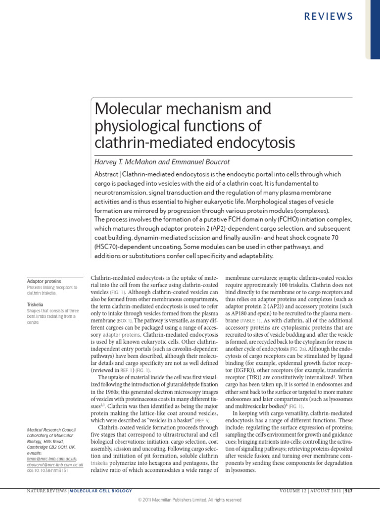 Molecular Mechanism and Physiological Functions of Clathrin‑Mediated ...