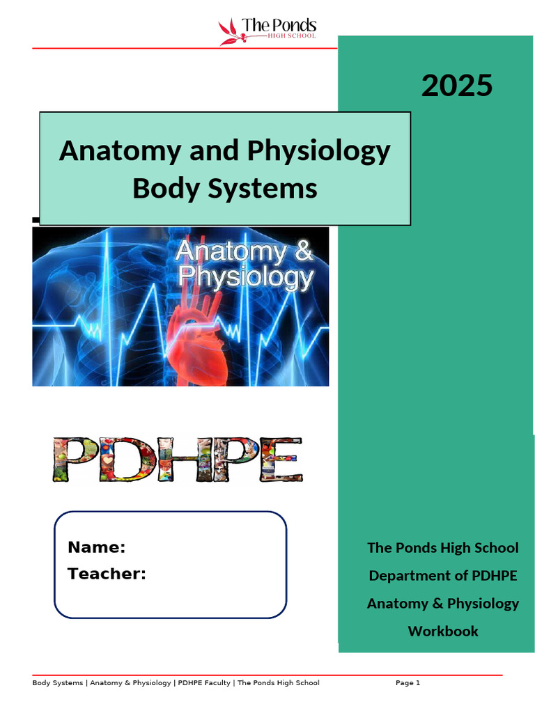 Body Systems Lesson 1-1 | PDF | Vertebra | Human Musculoskeletal System