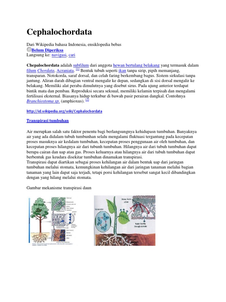 Cephalochordata | PDF