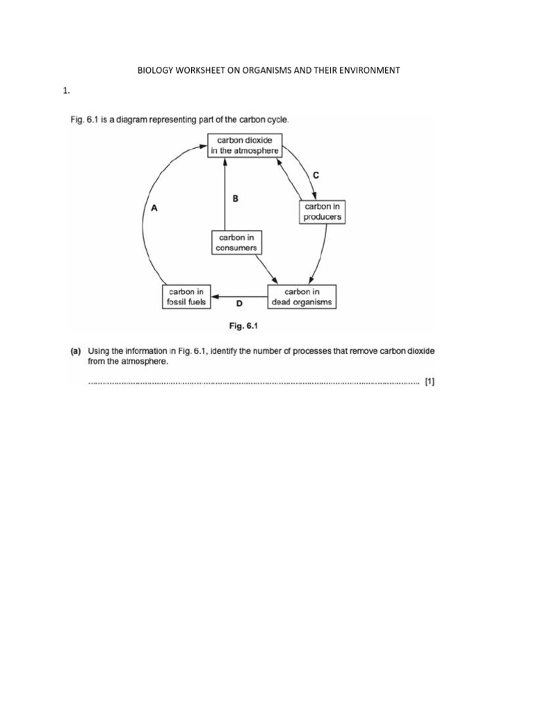 Biology Worksheet On Organisms and Their Environment | PDF