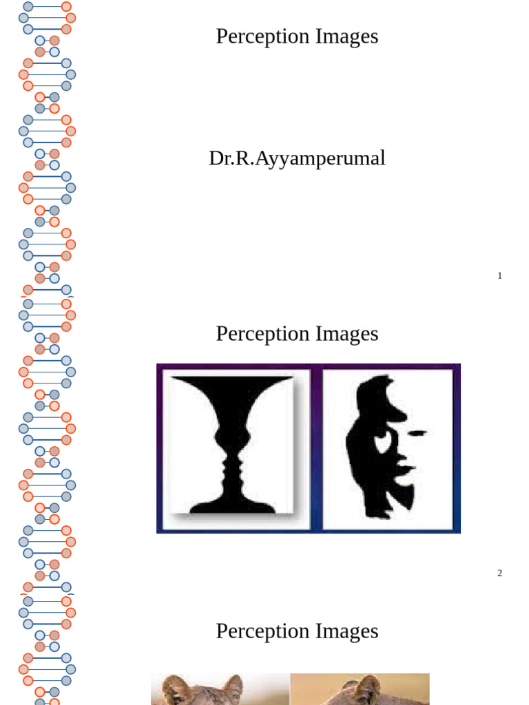 Understanding Perception Images | PDF