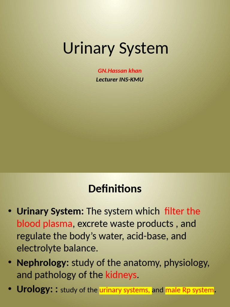UNIT 3 Urinary System | PDF | Kidney | Urination