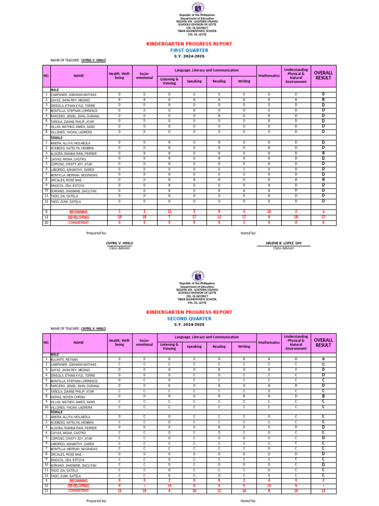 Progress Report Summary | PDF | Reading (Process) | Linguistics