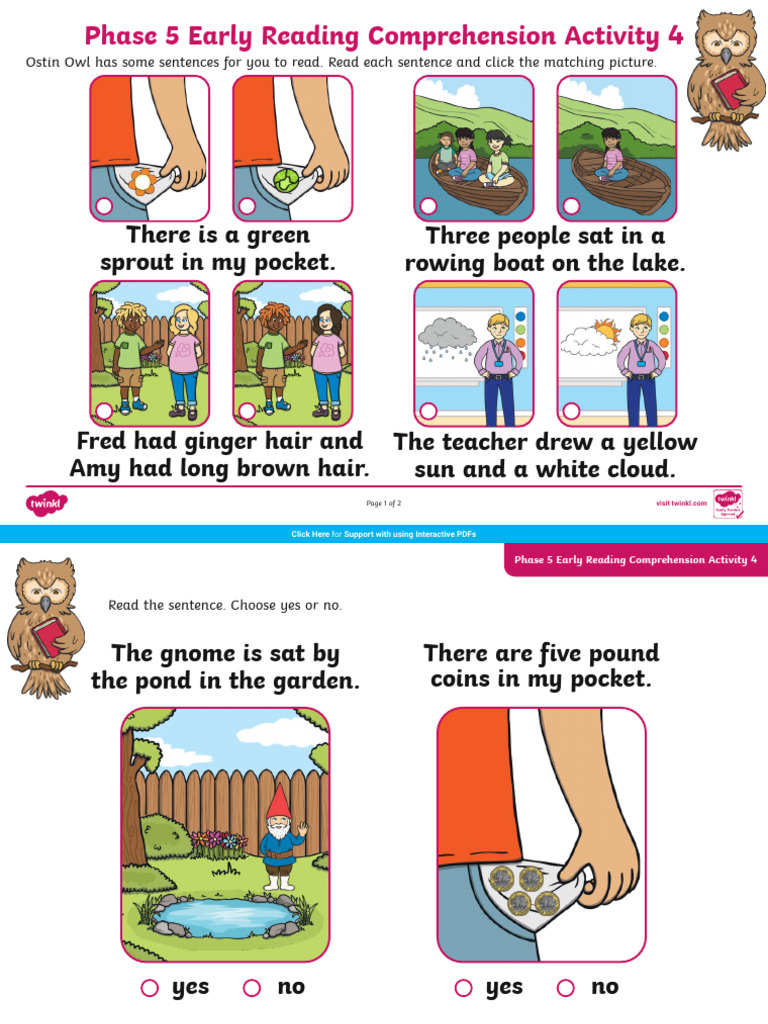 Phase 5 Reading Comprehension Activity | PDF